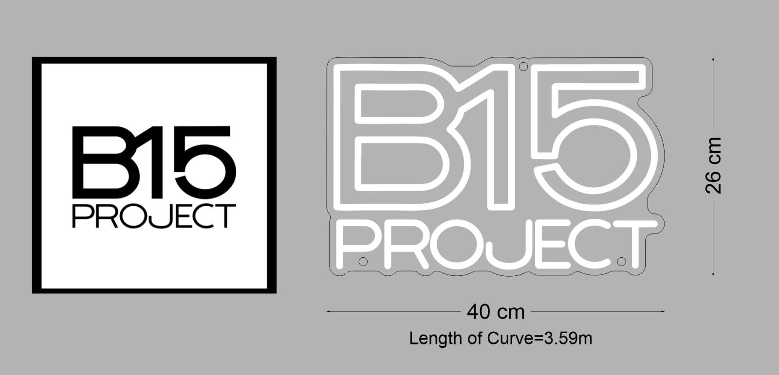 Custom Sign: B15 PROJECT